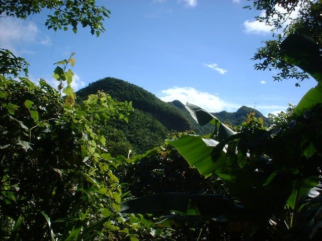 Activities and things to do in Levuka and Ovalau Island