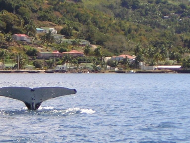 Images and Photos from Levuka and Ovalau Fiji Islands